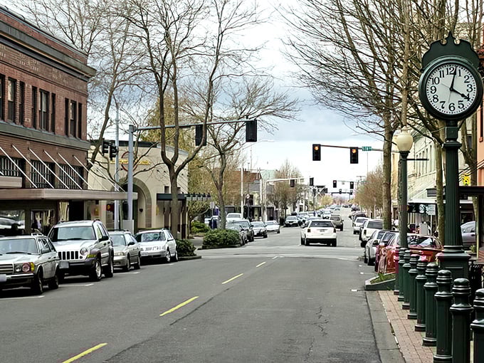 Downtown Olympia's tree-lined streets offer small-town charm with big-city amenities, where vintage streetlamps stand guard over locally-owned shops that haven't surrendered to chain-store invasion.