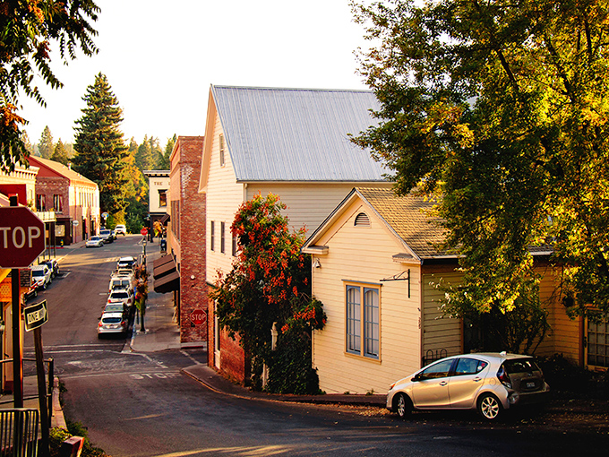When your street looks this charming, even parallel parking feels like you're in a romantic comedy montage.