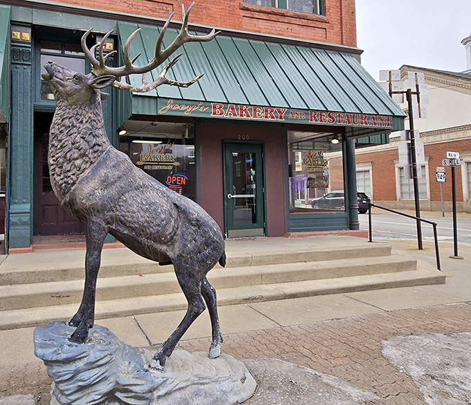 The majestic elk statue stands guard outside Joey's Bakery & Restaurant, as if saying "Trust me, the breakfast inside is worth waking up for."