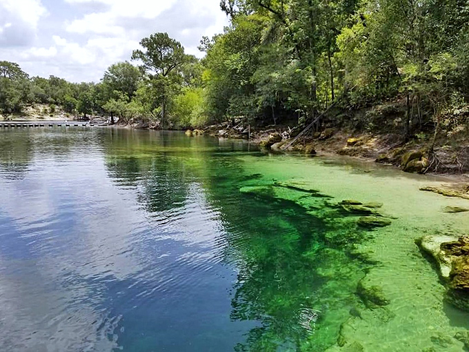 Nature's own swimming pool with water so clear, you'll wonder if someone secretly installed glass. Florida's liquid magic on full display.