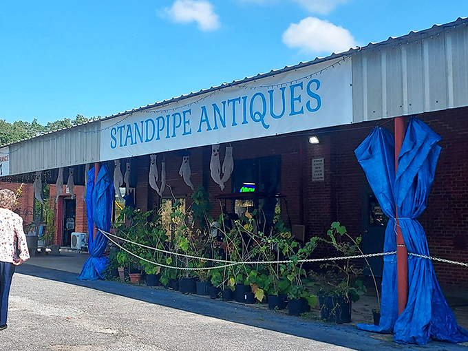 The iconic blue lettering of Standpipe Antiques beckons treasure hunters like a siren call to sailors of the secondhand seas.