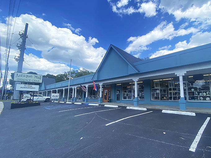 The blue-trimmed exterior of Terrace Oaks beckons under Carolina skies, promising treasures within that won't break the bank.