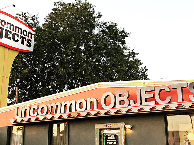 The distinctive coral-colored exterior with its bold signage has become an Austin landmark, drawing treasure hunters and the merely curious alike.