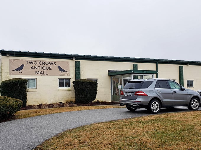 The unassuming exterior of Two Crows Antique Mall belies the wonderland of treasures waiting inside. Like a time-travel portal disguised as a building.