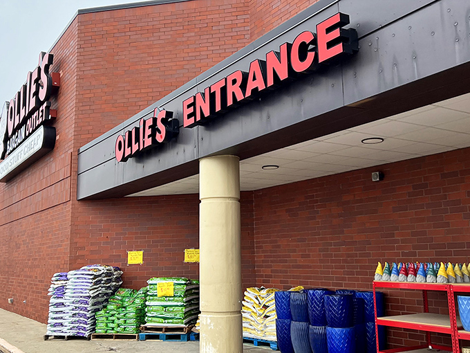 The brick facade might not scream "retail paradise," but like that unassuming restaurant with the best food in town, Ollie's exterior hides treasures within.