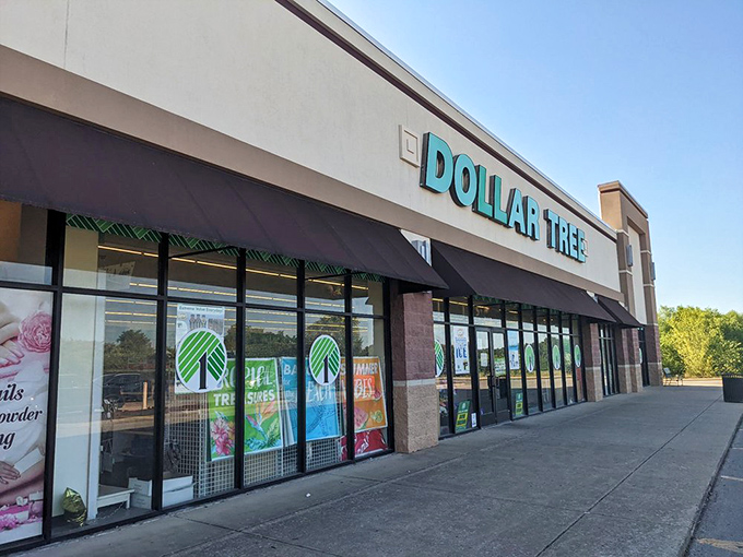 Sometimes the best treasures hide in plain sight, like this sprawling Dollar Tree beckoning bargain hunters.