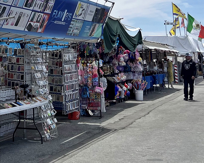 A treasure hunter's paradise where phone cases meet plush toys. The endless rows of merchandise at San Jose Flea Market promise discoveries at every turn.
