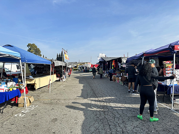 Blue canopies stretch toward the horizon like a bargain hunter's yellow brick road. The journey through this treasure-filled marketplace has only just begun.