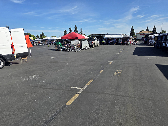 The sprawling asphalt canvas of Denio's on a perfect California day – where weekend warriors and professional bargain hunters converge under impossibly blue skies.