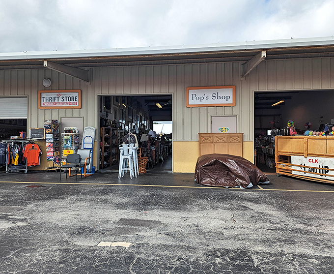The treasure hunt begins! Row after row of vendor stalls await under the Florida sun, where one person's castoffs become another's prized discoveries.