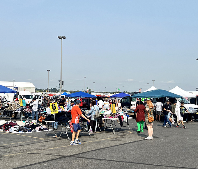 The treasure hunter's paradise spreads across the Meadowlands parking lot, where one person's castoffs become another's prized discoveries.