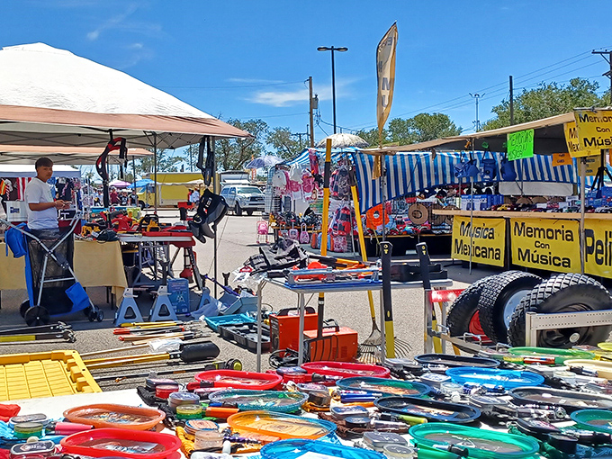 Under Albuquerque&rsquo;s brilliant sky, early risers dive into a sea of treasures, where yesterday&rsquo;s castoffs become today&rsquo;s discoveries.