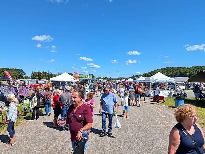 Blue skies and treasure hunting go hand in hand at Stormville. Nothing beats the thrill of scanning endless rows of potential discoveries on a perfect Hudson Valley day.