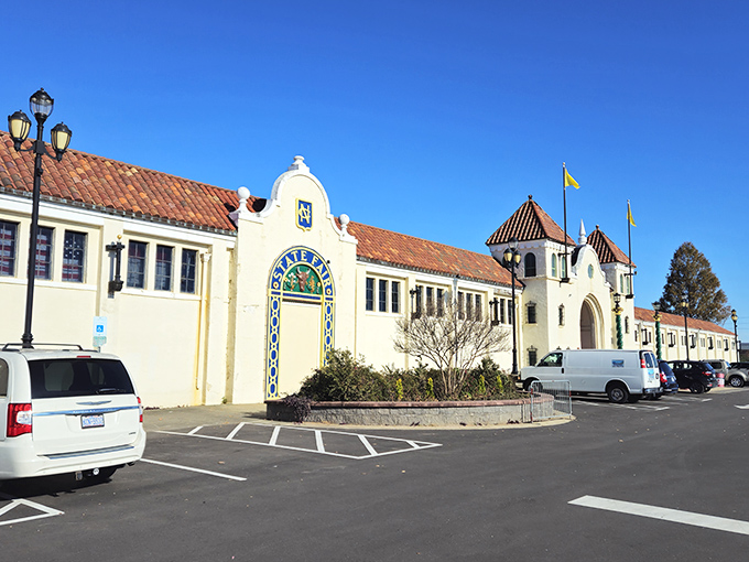 Treasure hunting begins where the asphalt meets possibility. Rows of tables stretch into the distance, each one a miniature museum of someone else's memories.