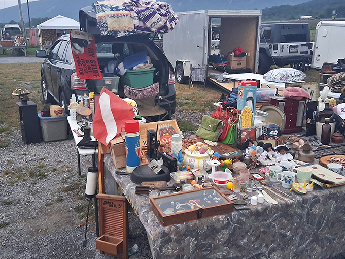 Treasure hunters paradise! The bustling outdoor section of Leighty's Flea Market where one person's castoffs become another's prized possessions.