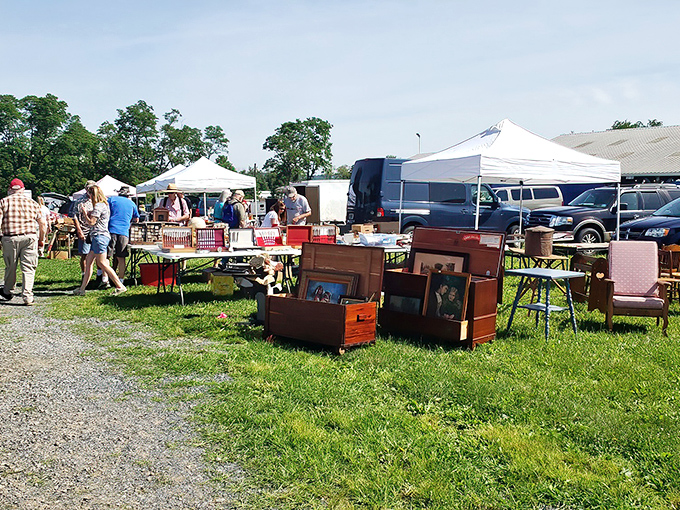 Treasure hunting begins outdoors! Vendors set up shop under sunny skies, displaying furniture finds and collectibles on the grassy fields of Kutztown.