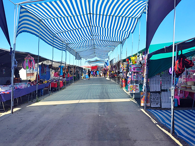 Blue and white striped canopies create a desert oasis of shade, guiding shoppers down aisles of possibility at the Pasco Flea Market.