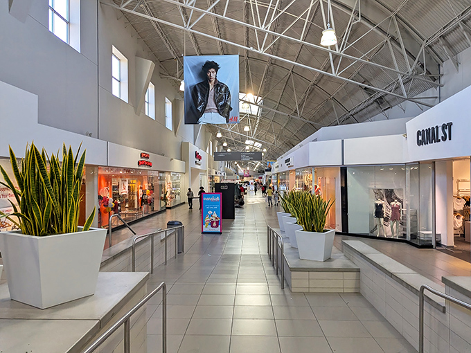 The cathedral of commerce awaits! Soaring ceilings and natural light transform bargain hunting into a surprisingly civilized affair.