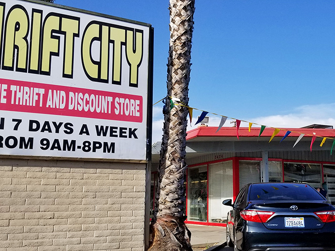 Welcome to the treasure hunt headquarters, where your wallet stays happy and your imagination runs wild.