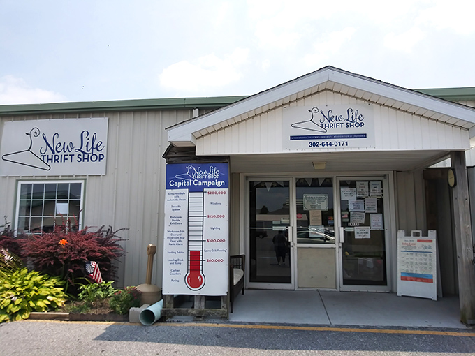 The unassuming exterior of New Life Thrift Shop belies the wonderland of treasures within, complete with a fundraising thermometer tracking their community mission.