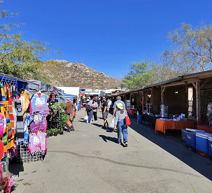 Treasure hunters navigate the bustling pathways of Winchester Swap Meet, where California's hills provide a dramatic backdrop to this bargain paradise.