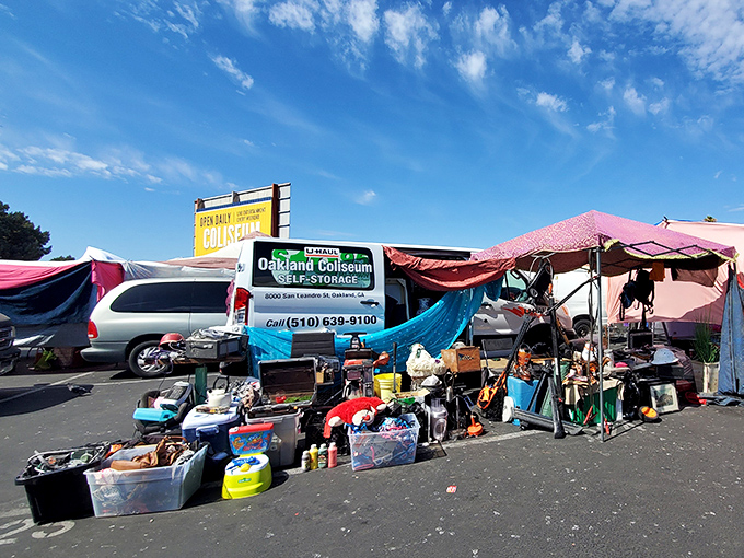 The ultimate garage sale galaxy, where one person's storage unit cleanout becomes another's "I can't believe I found this!"
