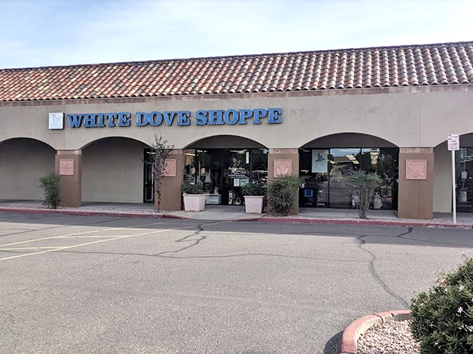 The unassuming exterior of White Dove Thrift Shoppe hides a wonderland of treasures within. Like finding a secret passage in your favorite childhood book.