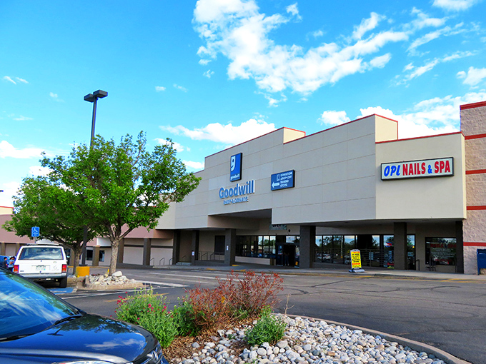 The store&rsquo;s bright blue sign stands out against the exterior, inviting treasure hunters to step inside and discover their next great find.