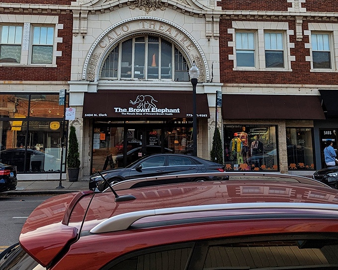 The grand facade of Brown Elephant in Andersonville looks like it's ready to announce the next big picture show, not just your next big find.