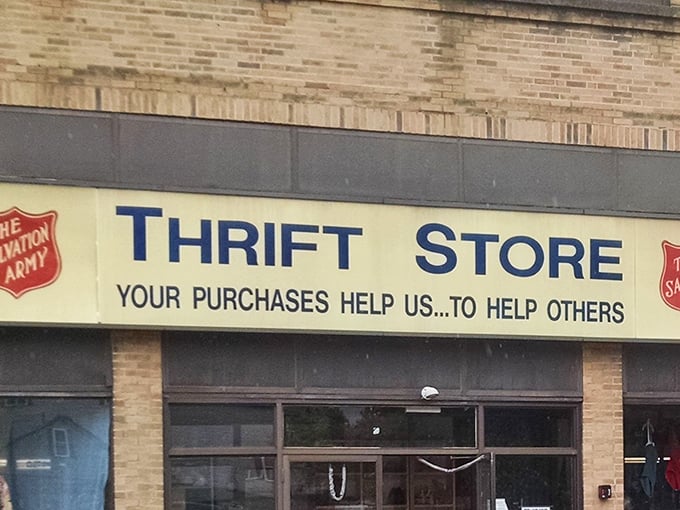 The iconic red shield and blue lettering promise more than bargains&mdash;they offer the thrill of discovery and the satisfaction of supporting a worthy cause.
