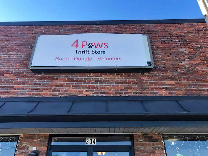 The unassuming brick exterior of 4 Paws Thrift Store &ndash; where treasures hide behind a modest fa&ccedil;ade, like finding a gourmet meal at a gas station diner.