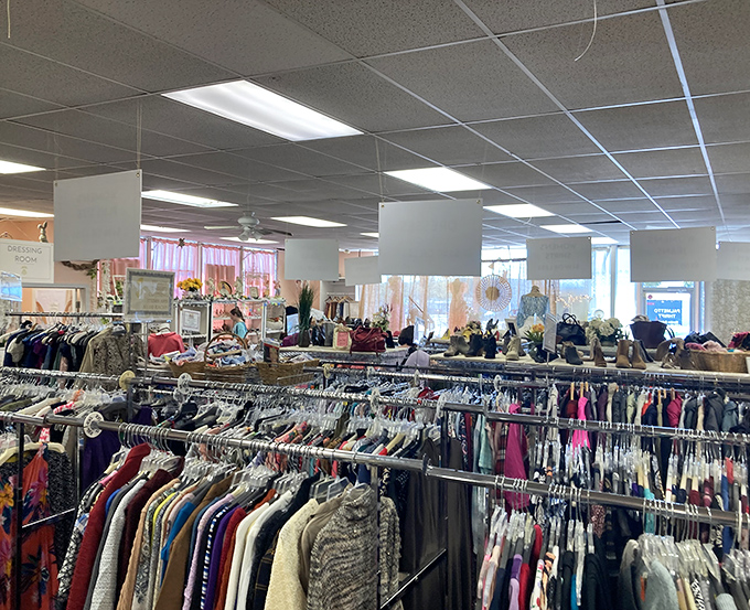 Inside Palmetto Thrift, racks of clothes and shelves of treasures create a bargain hunter&rsquo;s paradise waiting to be explored.