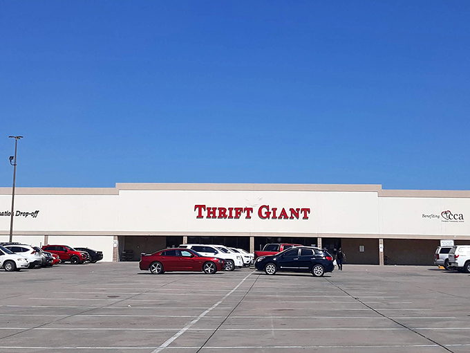 The unassuming storefront belies the treasure trove within—like finding a speakeasy, but instead of cocktails, you'll discover vintage cardigans and barely-used blenders.