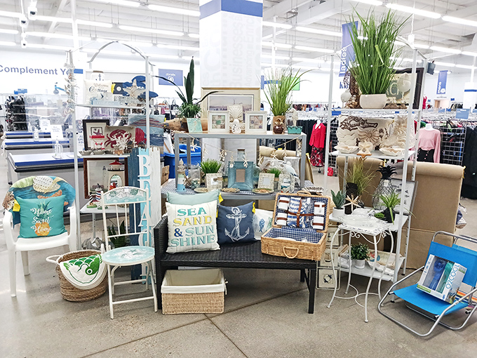 The coastal-themed display at Virginia Beach's Goodwill transforms secondhand shopping into a beachside treasure hunt. Sea, sand, and savings await!