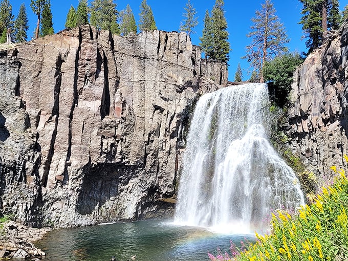 Sunlight transforms cascading water into liquid crystal against these ancient basalt columns. Mother Nature showing off her architectural portfolio.