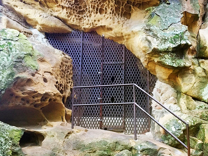 The entrance beckons like a prehistoric invitation, metal grate protecting centuries of indigenous artistry while still allowing visitors to peer into California's ancient past.