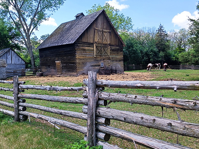 This weathered log barn isn't just surviving Wisconsin's seasons&mdash;it's thriving as a testament to craftsmanship that predates power tools and prefab construction.