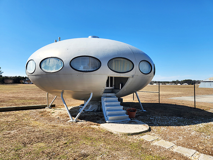 The ultimate Delaware plot twist: a flying saucer that landed not from outer space, but from the innovative mind of a Finnish architect.