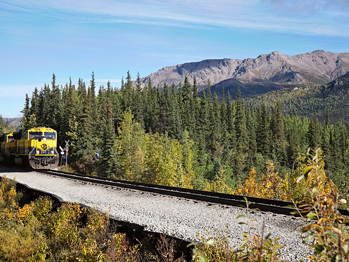 Nature's perfect frame: The railway cuts through pristine wilderness with mountain majesty standing guard. This isn't a painting, folks &ndash; it's your backyard.
