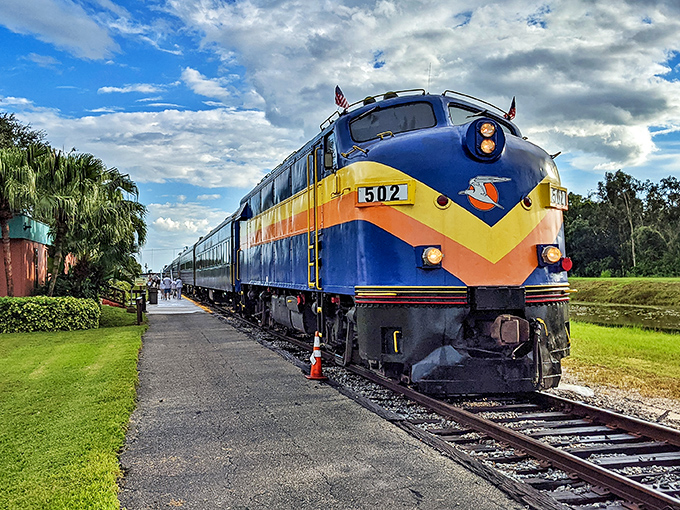 The iconic blue and yellow locomotive stands ready for adventure, its vintage charm promising a journey through Florida's hidden landscapes.