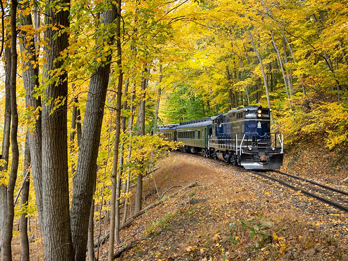 Mother Nature's gallery on full display as the Colebrookdale Railroad winds through a golden tunnel of autumn foliage. Time travel never looked so spectacular.