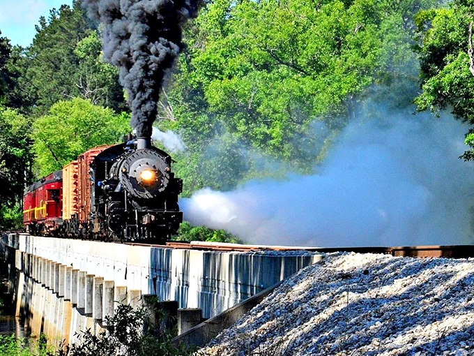 The mighty steam locomotive charges across the bridge, belching dramatic plumes of smoke against a backdrop of vibrant East Texas greenery.