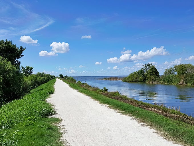 The road less traveled beckons with blue skies and mirror-like waters. Nature's red carpet stretches before you, minus the paparazzi and acceptance speeches.