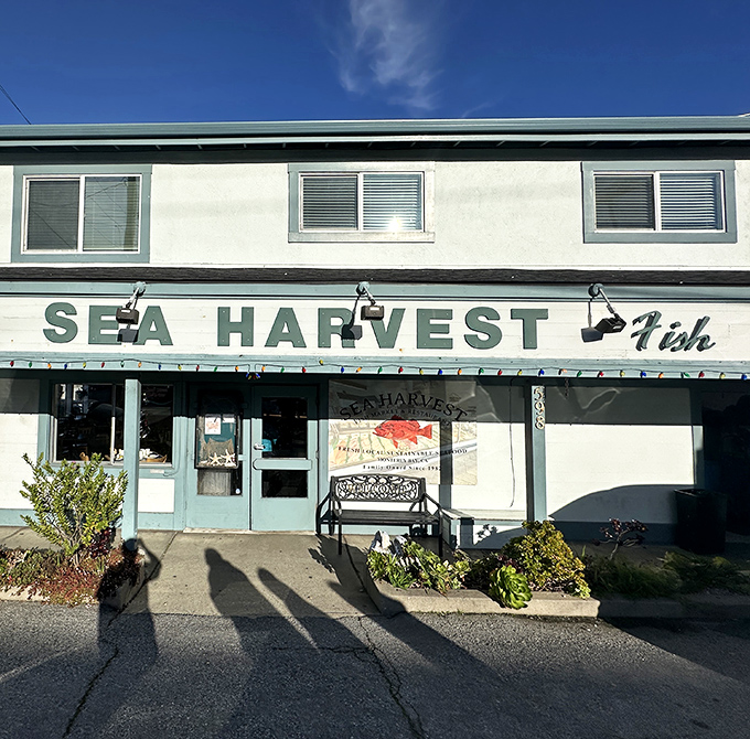 The unassuming facade of Sea Harvest belies the seafood treasures within. Like finding a pearl in an oyster, this Monterey gem rewards those who venture beyond the tourist traps.