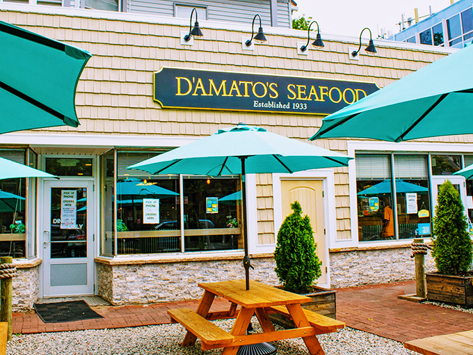 The coastal charm of D'Amato's Seafood beckons with its cedar shake siding and inviting teal umbrellas&mdash;a New England seafood sanctuary hiding in plain sight.