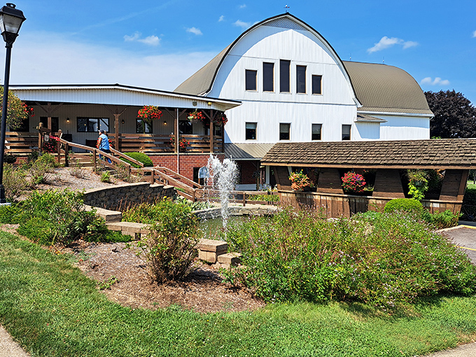 The iconic white barn rises majestically against blue Ohio skies, welcoming hungry visitors with its charming fountain and meticulously landscaped grounds.