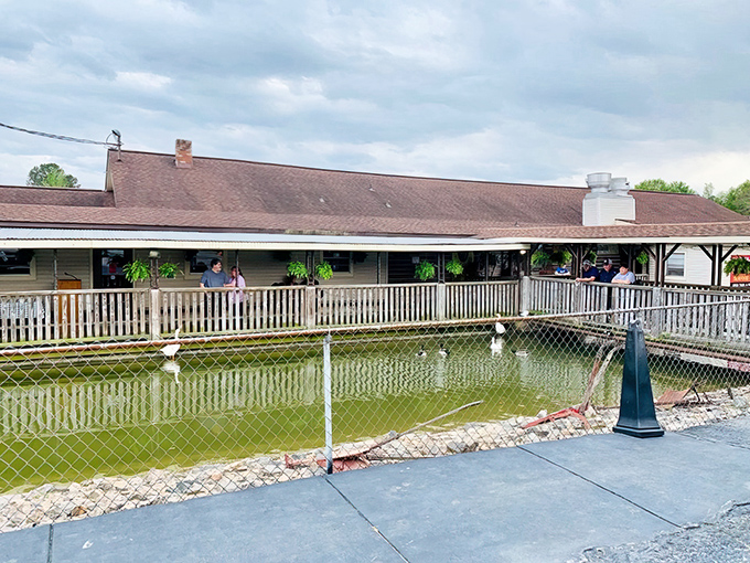 The waterfront charm of Old McDonald Fish Camp isn't just for show&mdash;those ducks are practically part of the waitstaff!