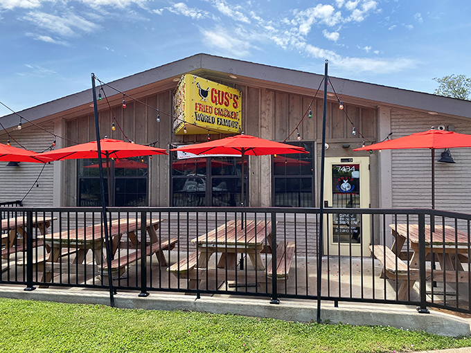 The unassuming wooden exterior of Gus's in Maplewood might not scream "culinary destination," but that's part of its charm. The best treasures are rarely advertised.