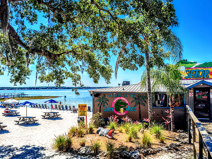 Paradise found! Gator Joe's beachfront entrance promises the kind of Florida day where shoes are optional but appetites are mandatory.