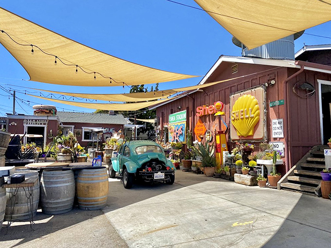 The iconic Sea Shanty exterior welcomes visitors with its striking blue roof, vintage charm, and abundance of colorful plants. California coastal dining at its unpretentious best!
